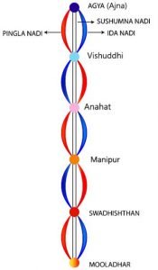 What Is Kundalini Yoga, How To Awaken Kundalini Energy