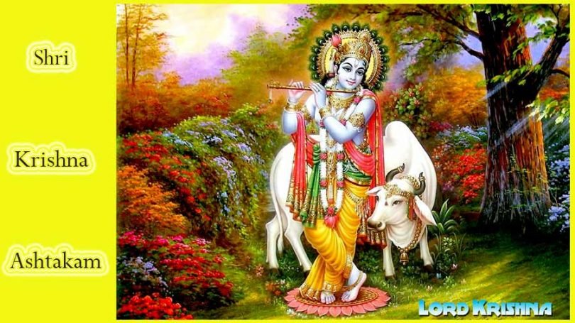 Shri Krishnashtakam (Vasudeva Sutam Devam) कृष्णाष्टकम् Lyrics