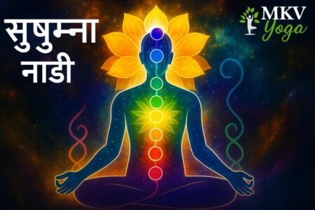 Sushumna Nadi - Meaning, Importance & Activation in Yoga